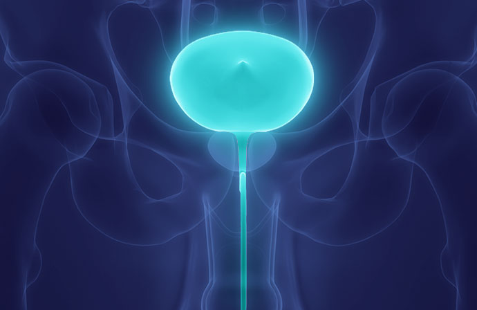 Transurethral Resection of the Prostate (TURP) | The Urology Partnership